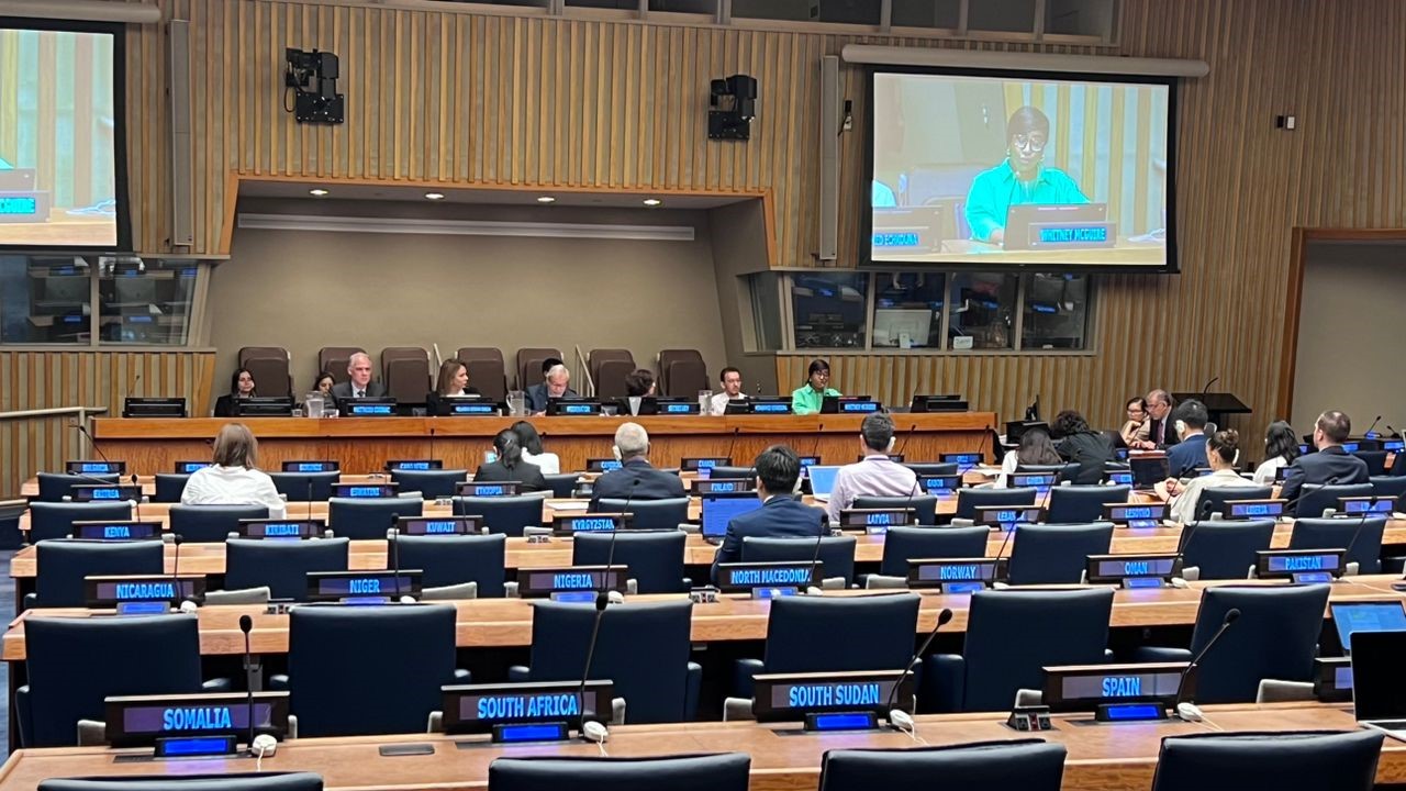 President Douglas C. Comer Moderates United Nations Conference Panel ...