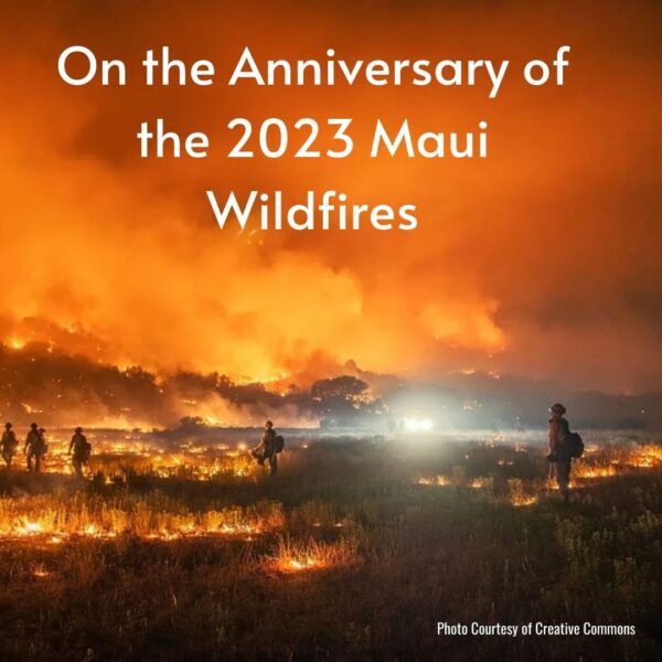 On the Anniversary of the 2023 Maui Wildfires - World Heritage USA