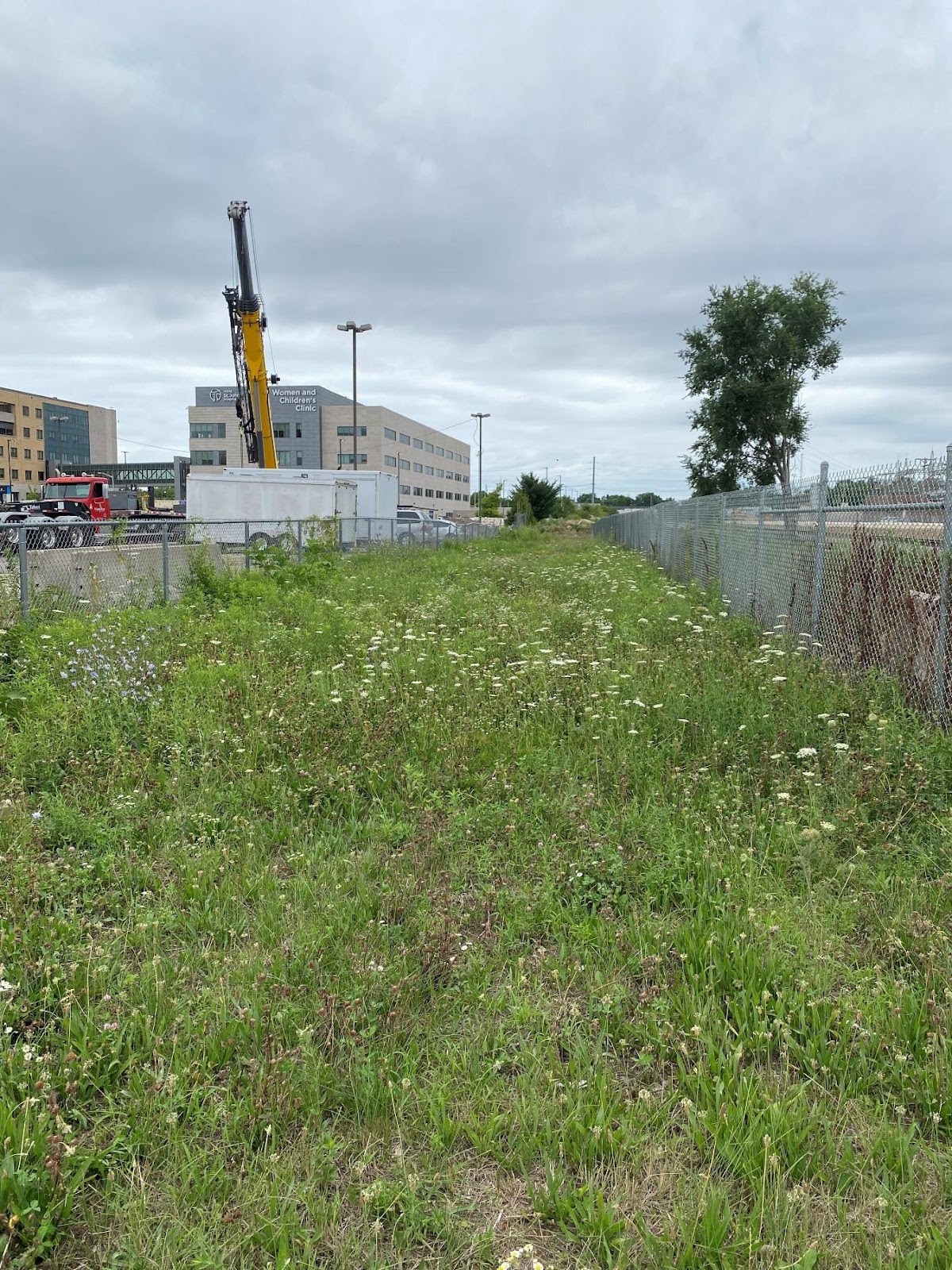 1908 Springfield Race Riot Monument - Springfield, Illinois - World ...